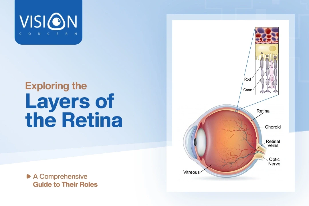 Layers of the Retina | A Comprehensive Guide to Their Roles