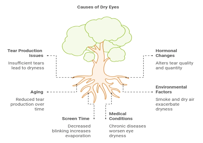 How to Cure Dry Eyes Permanently: Best Treatments & Tips